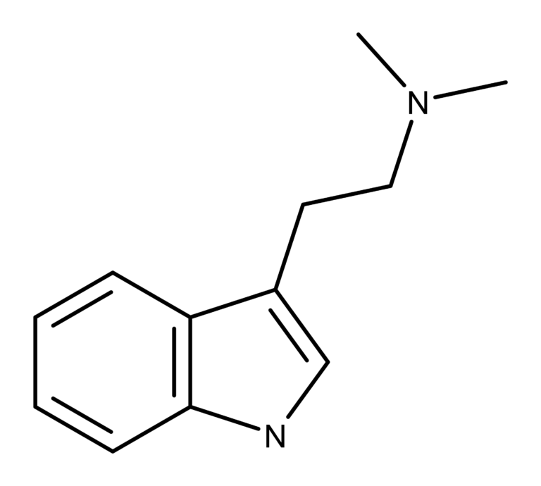 Altered Oscillations: The Modulatory Effect of DMT on Brain Waves ...