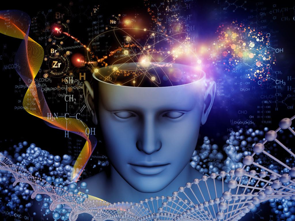 PET Scans Show the Human Brain Under the Influence of Psilocybin ...