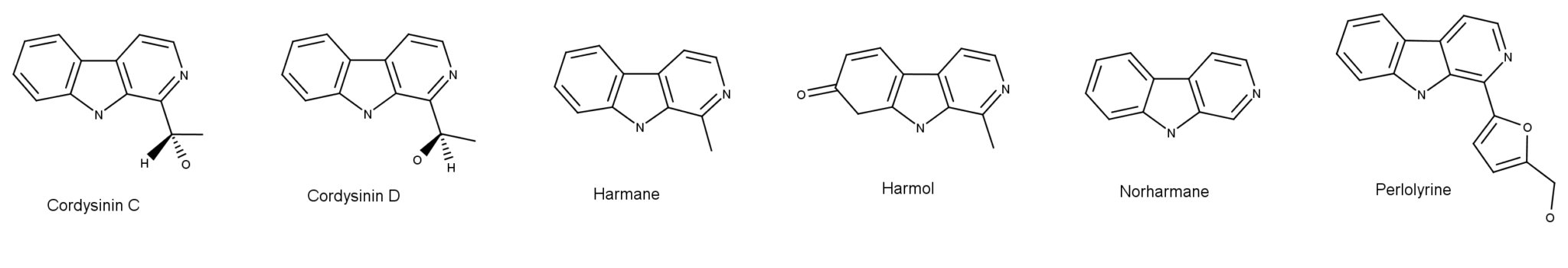 Scientists Discover New Compounds in Magic Mushrooms - Psychedelic ...
