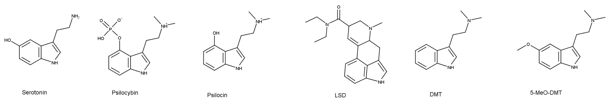 The Serotonin Receptors: Comparing the Binding Affinity of 5 ...