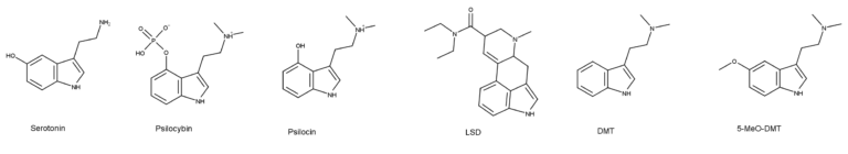 The Serotonin Receptors: Comparing the Binding Affinity of 5 ...