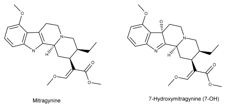 The Structure-Activity Relationship of Two Kratom Compounds ...