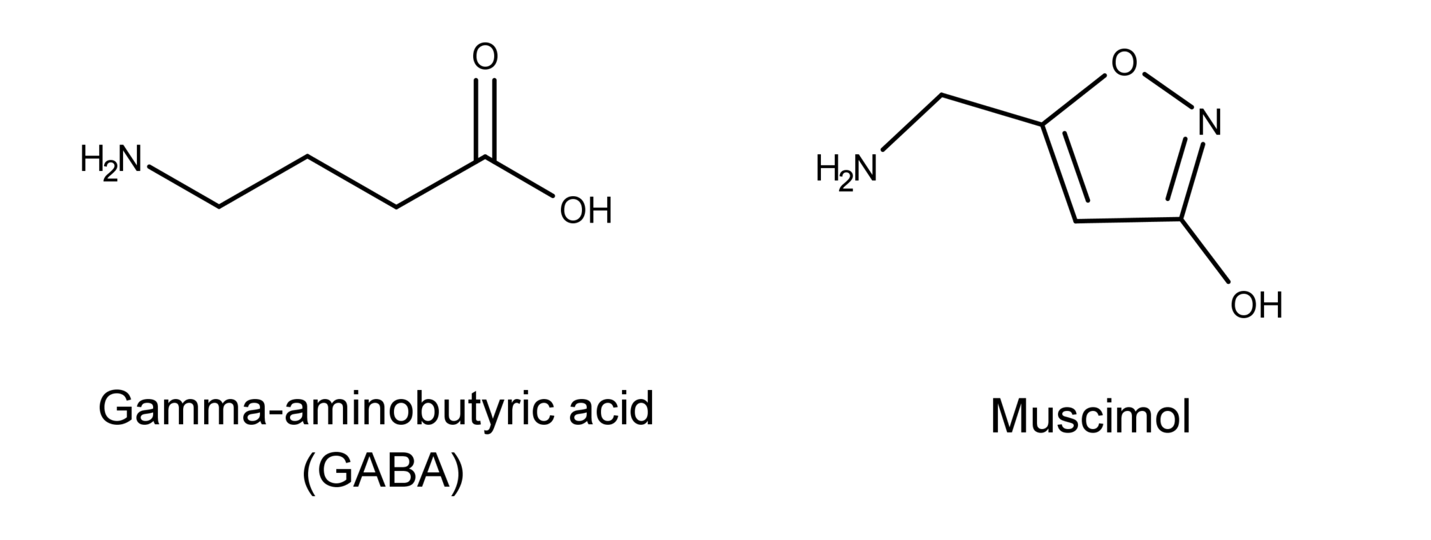 Muscimol - Psychedelic Science Review