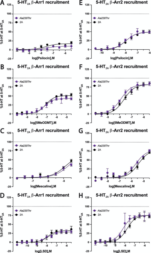 Variants in 5-HT2A Receptor Gene Alter Psychedelic Pharmacology