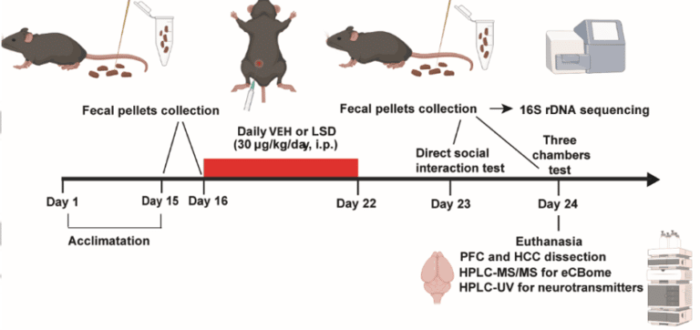 Gut Feeling: Links Between LSD, Endocannabinoids, and the Microbiome